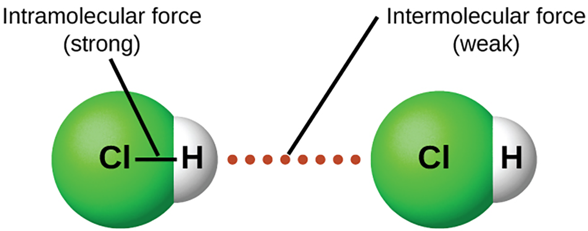 Intermolecular Forces Tutorial | Sophia Learning