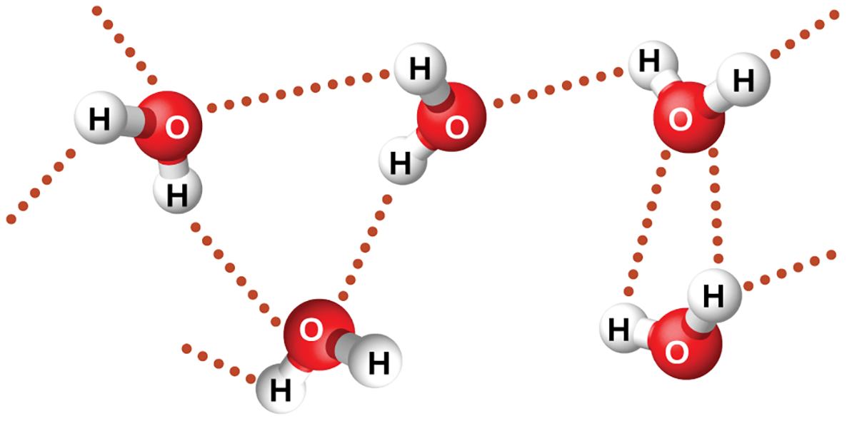 Intermolecular Forces Tutorial | Sophia Learning