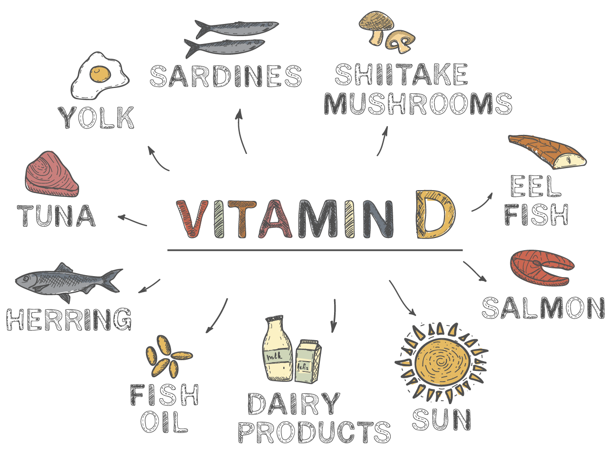 Vitamin D Tutorial | Sophia Learning