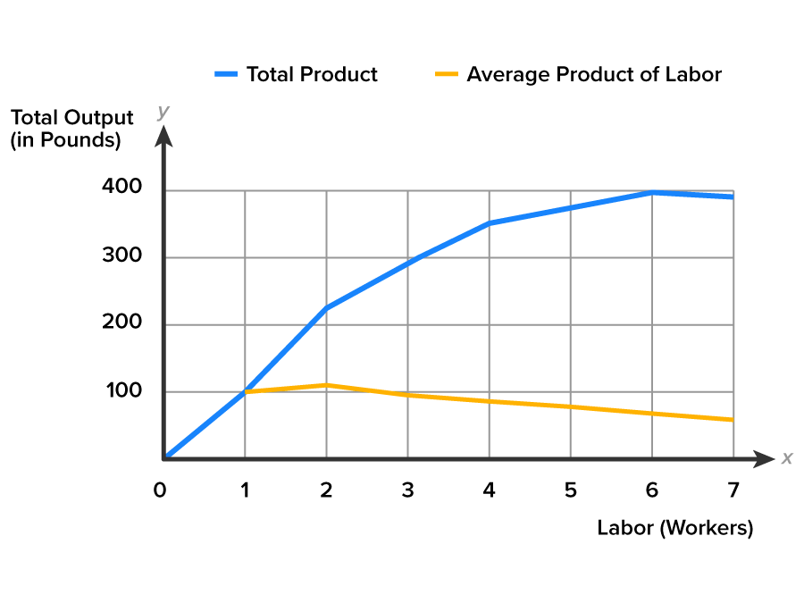 Production: Total and Average Tutorial | Sophia Learning