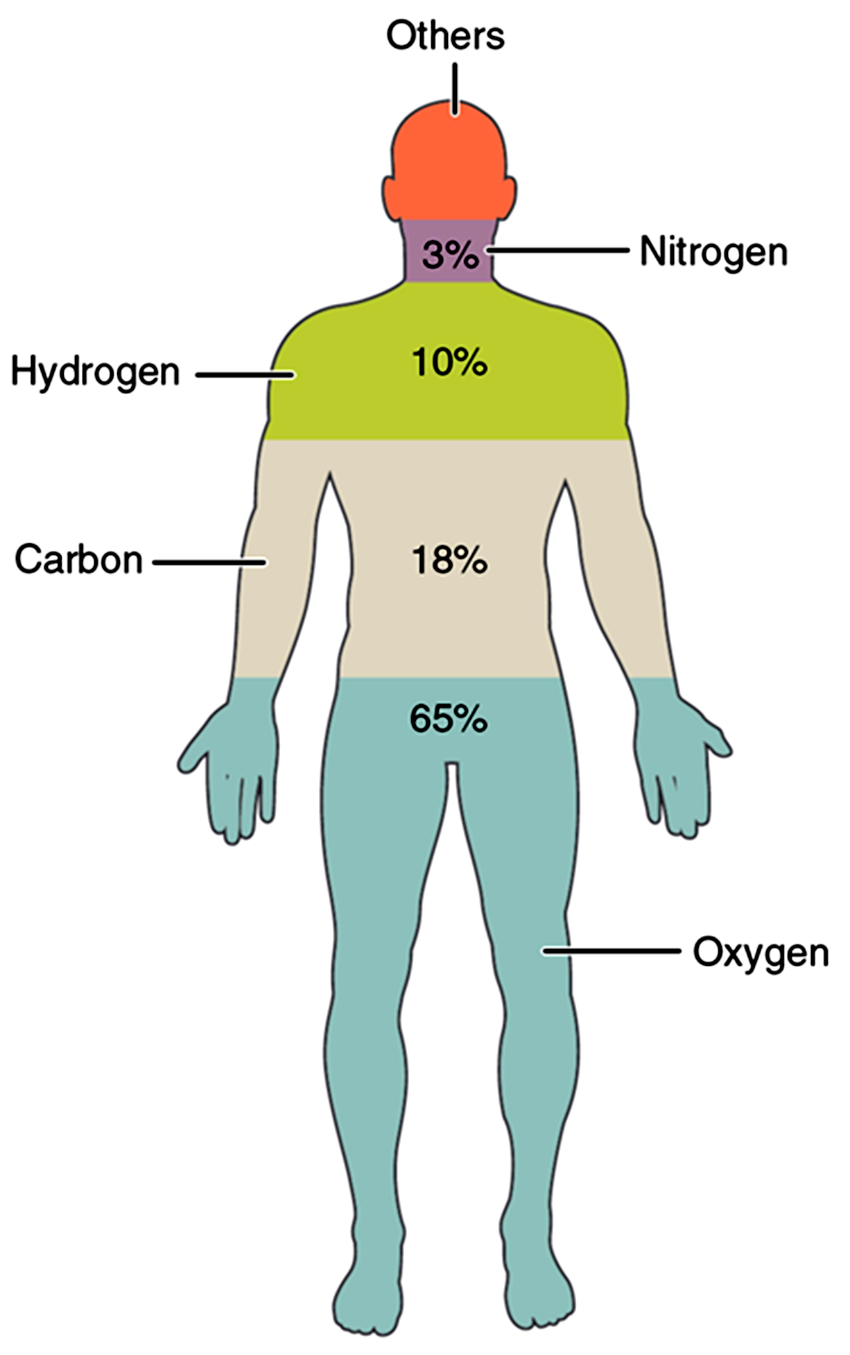 Elements and Atoms: The Building Blocks of Matter Tutorial | Sophia ...
