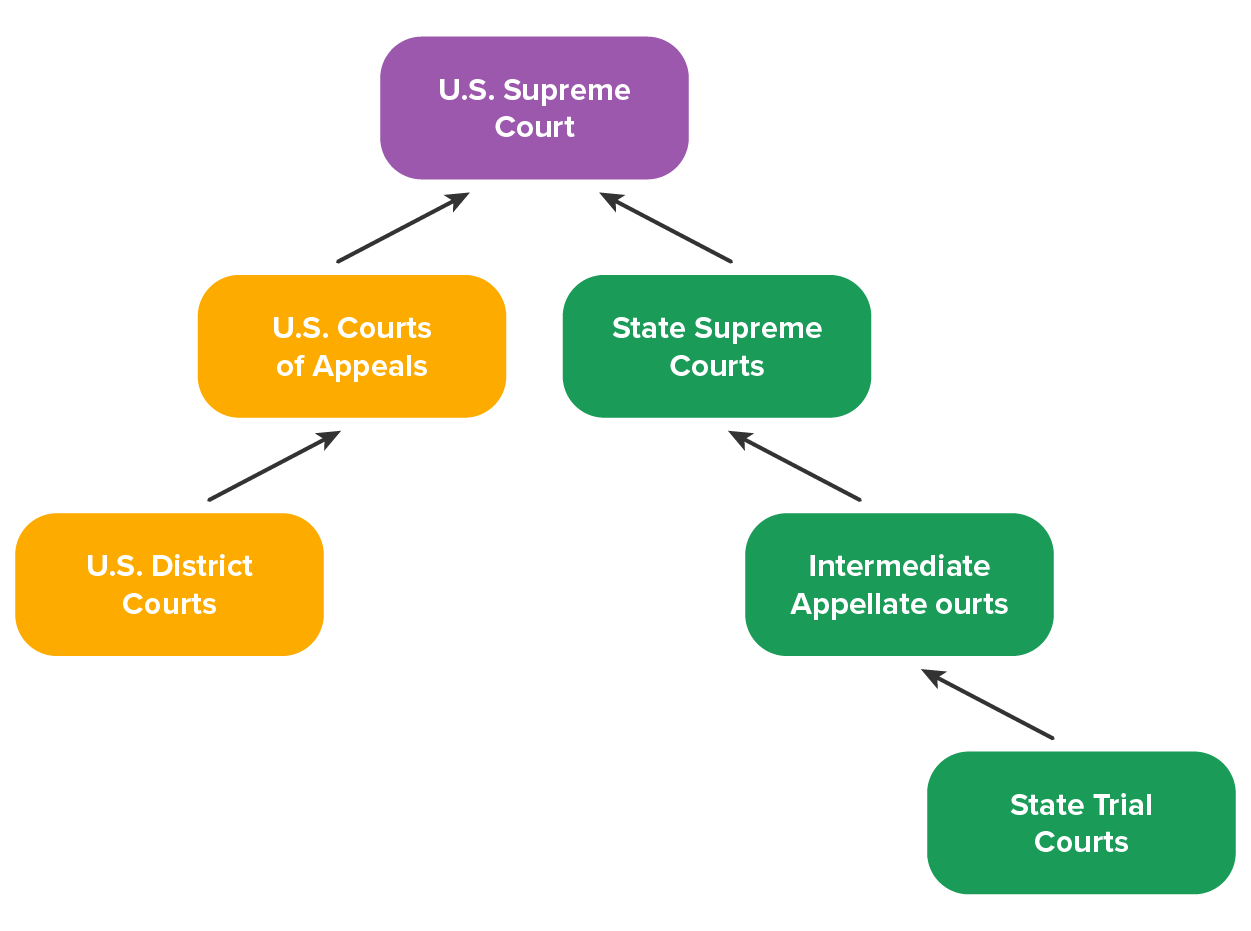 Structure and Function of the Judicial Branch Tutorial | Sophia Learning