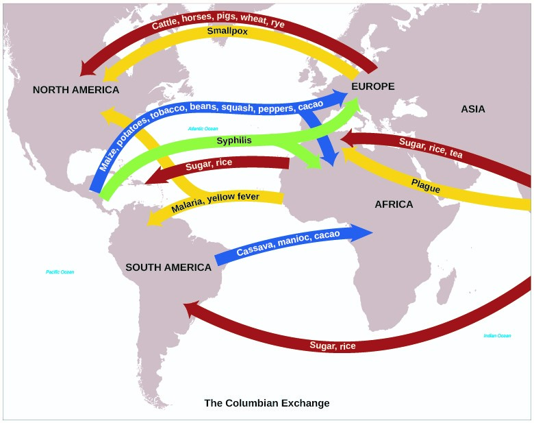 The Columbian Exchange Tutorial | Sophia Learning