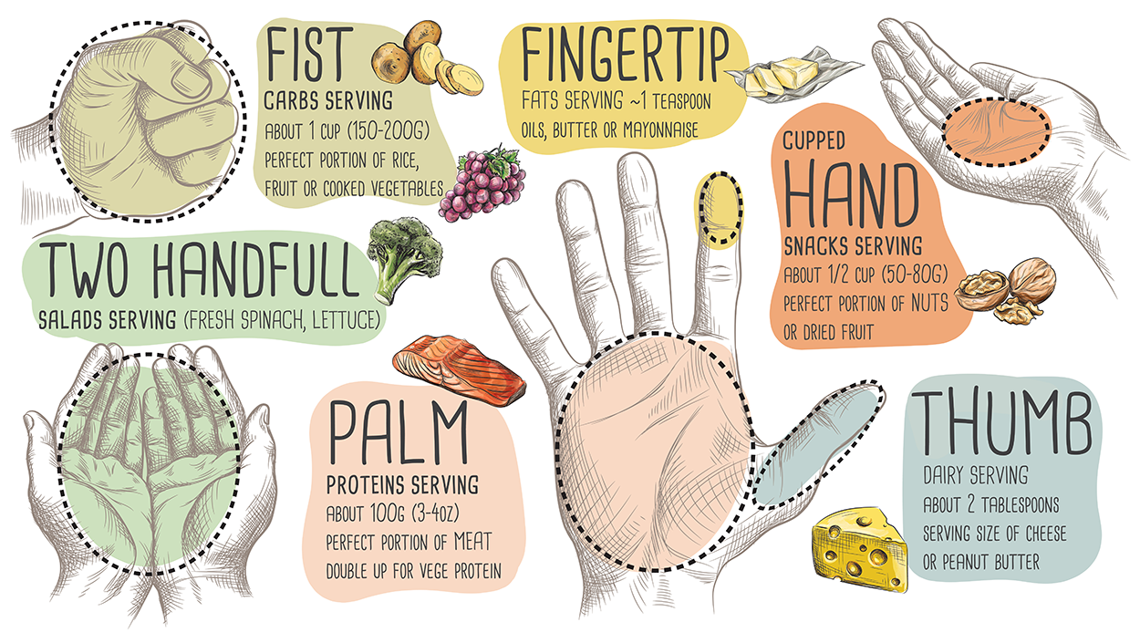 Food Patterns and Dietary Guidelines Tutorial | Sophia Learning