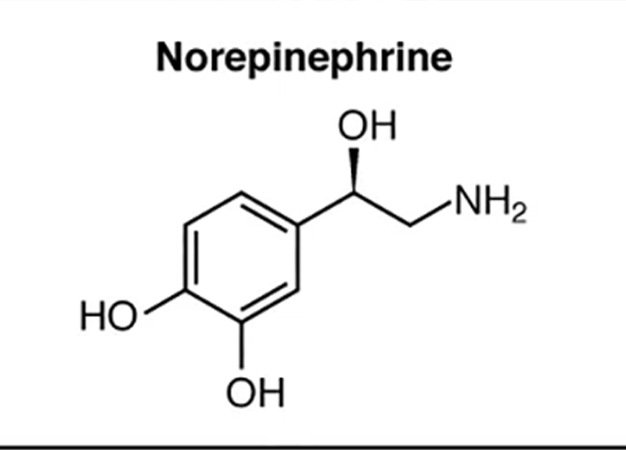 Types of Hormones Tutorial | Sophia Learning