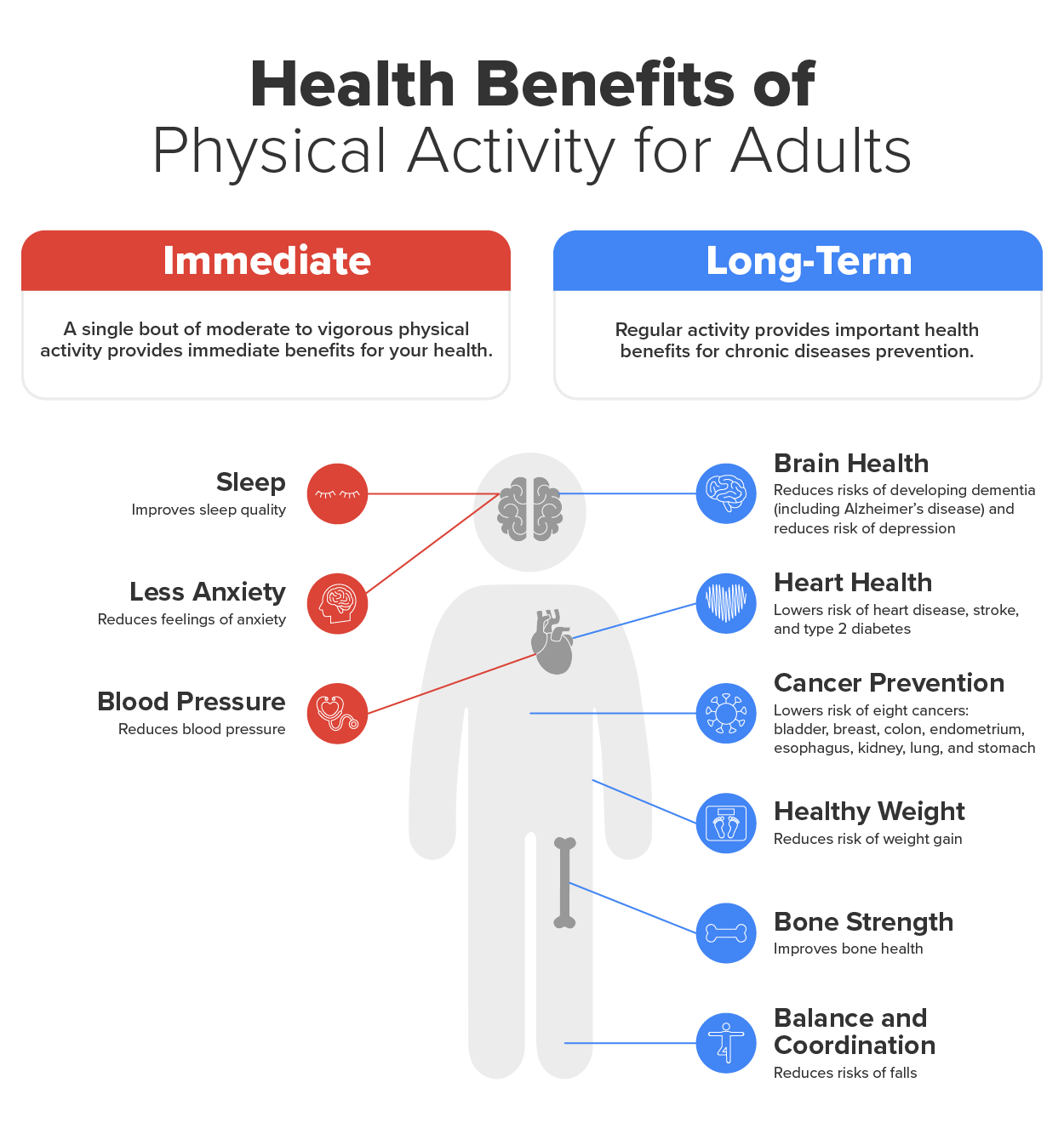 Physical Development in Early Adulthood Tutorial | Sophia Learning