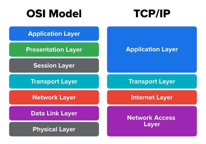 Network Models: OSI Model Tutorial | Sophia Learning
