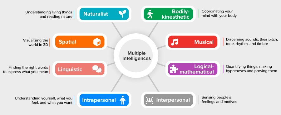 Howard Gardner: Multiple Intelligences Tutorial | Sophia Learning